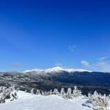 Mount Jackson Trail, New Hampshire - 1,916 Reviews, Map | AllTrails