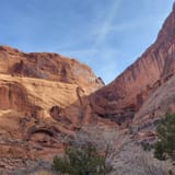 Moonflower Canyon Trail, Utah - 400 Reviews, Map | AllTrails