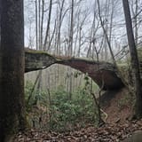 Hazard Cave and Natural Bridge Trail, Tennessee - 367 Reviews, Map ...