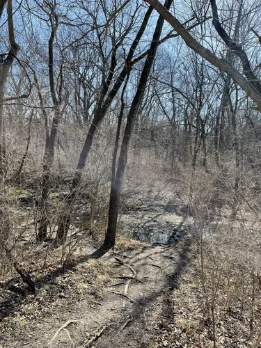 Best Walking Trails in James A Reed Wildlife Area | AllTrails