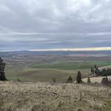 Kamiak Butte Trail, Washington - 766 Reviews, Map | AllTrails
