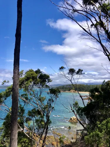 Best Bird Watching Trails in Beowa National Park | AllTrails