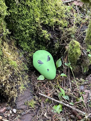 Best Hikes and Trails in Farrell Marsh Park | AllTrails