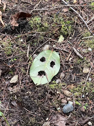 Best Hikes and Trails in Farrell Marsh Park | AllTrails