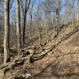 East Rock Loop Trail, Connecticut - 1,428 Reviews, Map | AllTrails