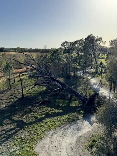 Best Hikes and Trails in McIntosh Preserve | AllTrails