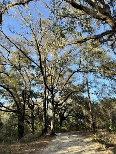 Best Hikes and Trails in McIntosh Preserve | AllTrails