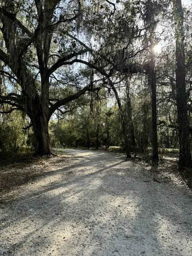 Best Hikes and Trails in McIntosh Preserve | AllTrails