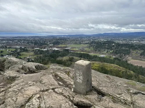 Best Dog Friendly Trails in PKOLS (Mount Douglas) Park | AllTrails