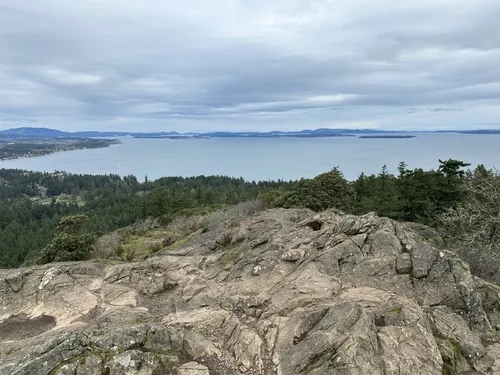 Best Dog Friendly Trails in PKOLS (Mount Douglas) Park | AllTrails