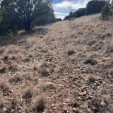 Boston Hill Trail, New Mexico - 212 Reviews, Map | AllTrails