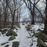 Pulpit Rock, Pennsylvania - 2,388 Reviews, Map | AllTrails