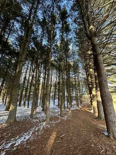 Best Hikes and Trails in Dover City Park | AllTrails