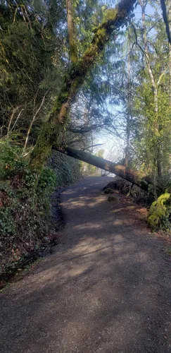 Best Hikes and Trails in Camas Heritage Park | AllTrails