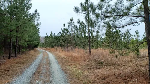 Best Hikes and Trails in Duke Forest | AllTrails