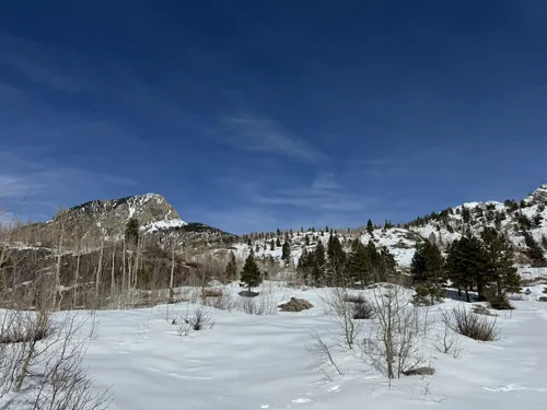 Best Off Road Driving Trails in Durango | AllTrails