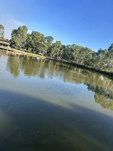 Cranbourne Wetlands Nature Conservation Reserve: de beste routes om te ...