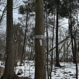 Bear Rocks via Appalachian Trail, Pennsylvania - 395 Reviews, Map ...