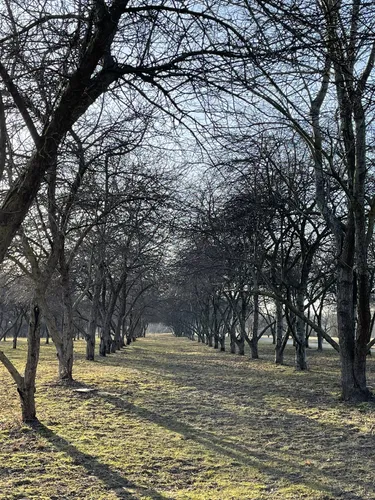 Best Hikes and Trails in Prairie Wolf Park | AllTrails