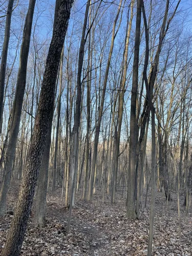 Best Hikes and Trails in Prairie Wolf Park | AllTrails