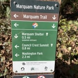 Council Crest via Marquam Trail, Oregon - 2,011 Reviews, Map | AllTrails