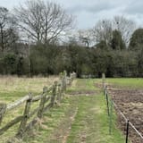 Coundon Wedge Circular, West Midlands, England - 235 Reviews, Map ...