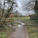 Coundon Wedge Circular, West Midlands, England - 235 Reviews, Map ...