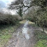 Coundon Wedge Circular, West Midlands, England - 235 Reviews, Map ...