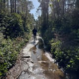 Blacklock Point Trail, Oregon - 411 Reviews, Map | AllTrails