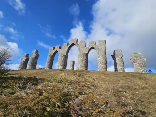 Best Forest Trails in Alness | AllTrails