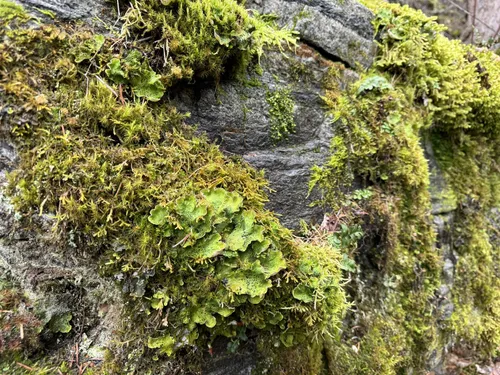 Best Hikes and Trails in Pilot Bay Provincial Park | AllTrails