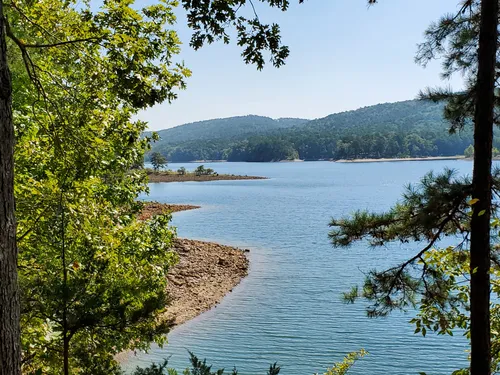 Best Trail Running Trails in Mountain Pine | AllTrails