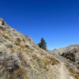 Hunter Creek Trail, Nevada - 4,318 Reviews, Map | AllTrails