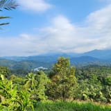 Kemensah - Bukit Pau Peak, Selangor, Malaysia - 130 Reviews, Map ...