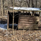 Camp Tomo-Chi-Chi Knolls, Illinois - 808 Reviews, Map | AllTrails