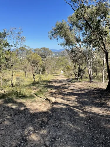 Best Bird Watching Trails in Red Hill Nature Reserve | AllTrails