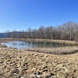 Shavertown Trail, New York - 419 Reviews, Map | AllTrails
