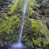 Dog Stream Waterfall via Waterfall Track, Canterbury, New Zealand - 169 ...
