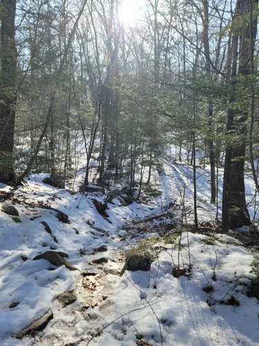 Best Camping Trails in Douglas | AllTrails