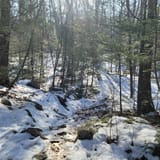 Douglas Forest Wallis Pond Loop Trail, Massachusetts - 929 Reviews, Map ...