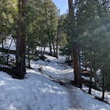 Independence Mountain Trail, Colorado - 4,887 Reviews, Map | AllTrails