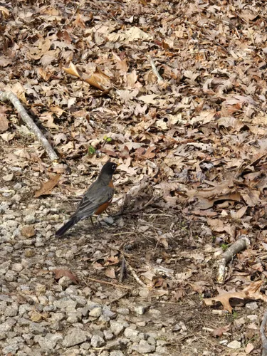 Best Hikes and Trails in Lake Johnson Nature Park | AllTrails