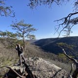 Fiery Gizzard Trail to Raven's Point, Tennessee - 1,141 Reviews, Map ...