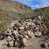 Mule Ear Spring, Texas - 471 Reviews, Map | AllTrails