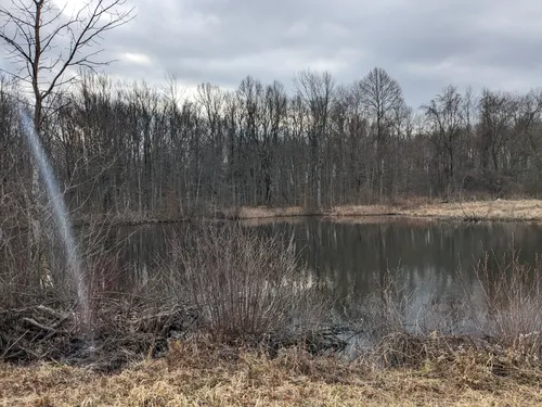 Best Hikes and Trails in Three Rivers Wildlife Management Area | AllTrails