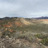 Utah Giant Sequoia Tree, Utah - 92 Reviews, Map | AllTrails