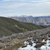 Utah Giant Sequoia Tree, Utah - 92 Reviews, Map | AllTrails