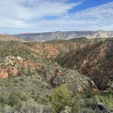 Utah Giant Sequoia Tree, Utah - 92 Reviews, Map | AllTrails