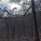 Red Cedar Trail, Illinois - 485 Reviews, Map | AllTrails