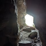 Red Cedar Trail, Illinois - 485 Reviews, Map | AllTrails